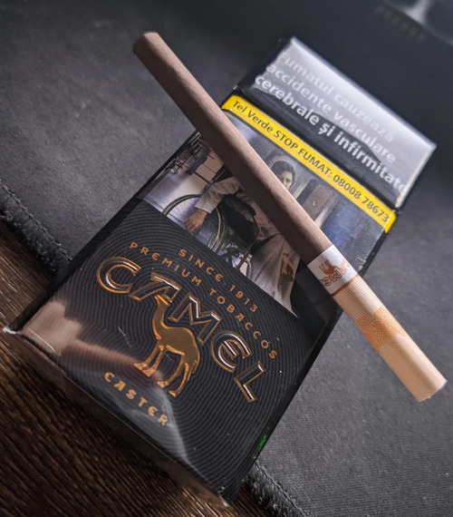 CAMEL CASTER - Menisto